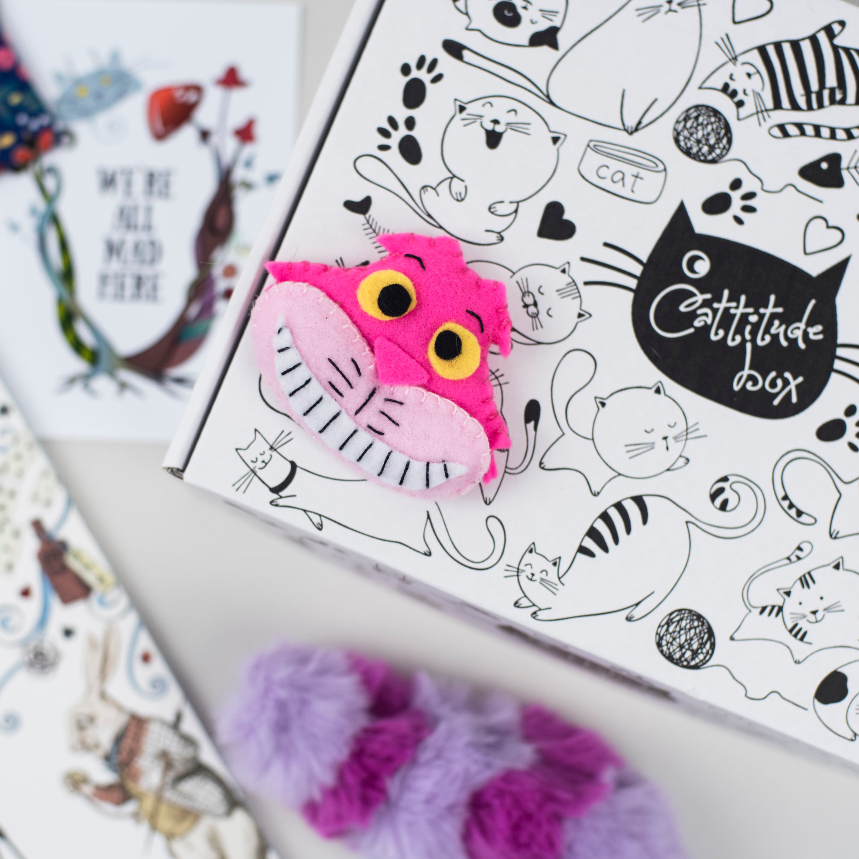 Cattitude Box – CattitudeBox